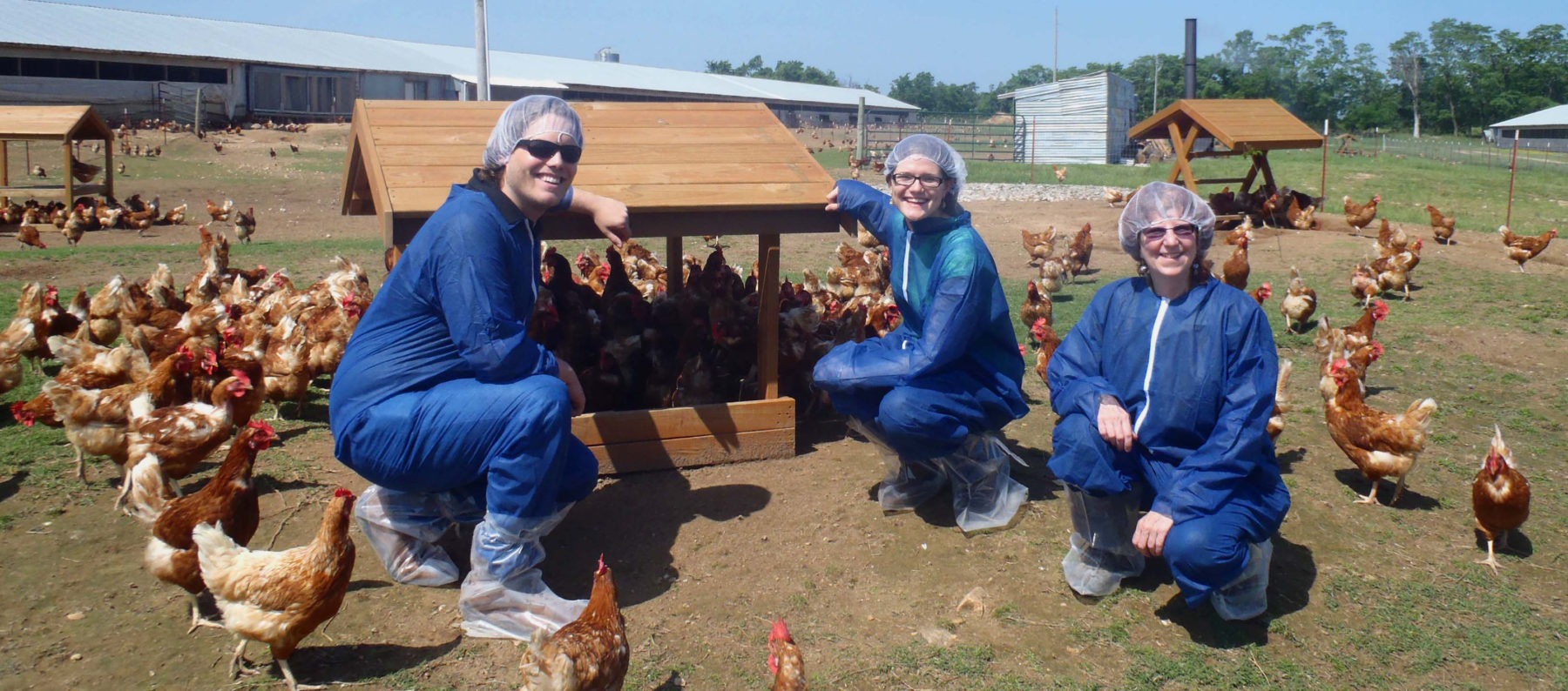 Careers, Internships, and Contractor Positions - Certified Humane