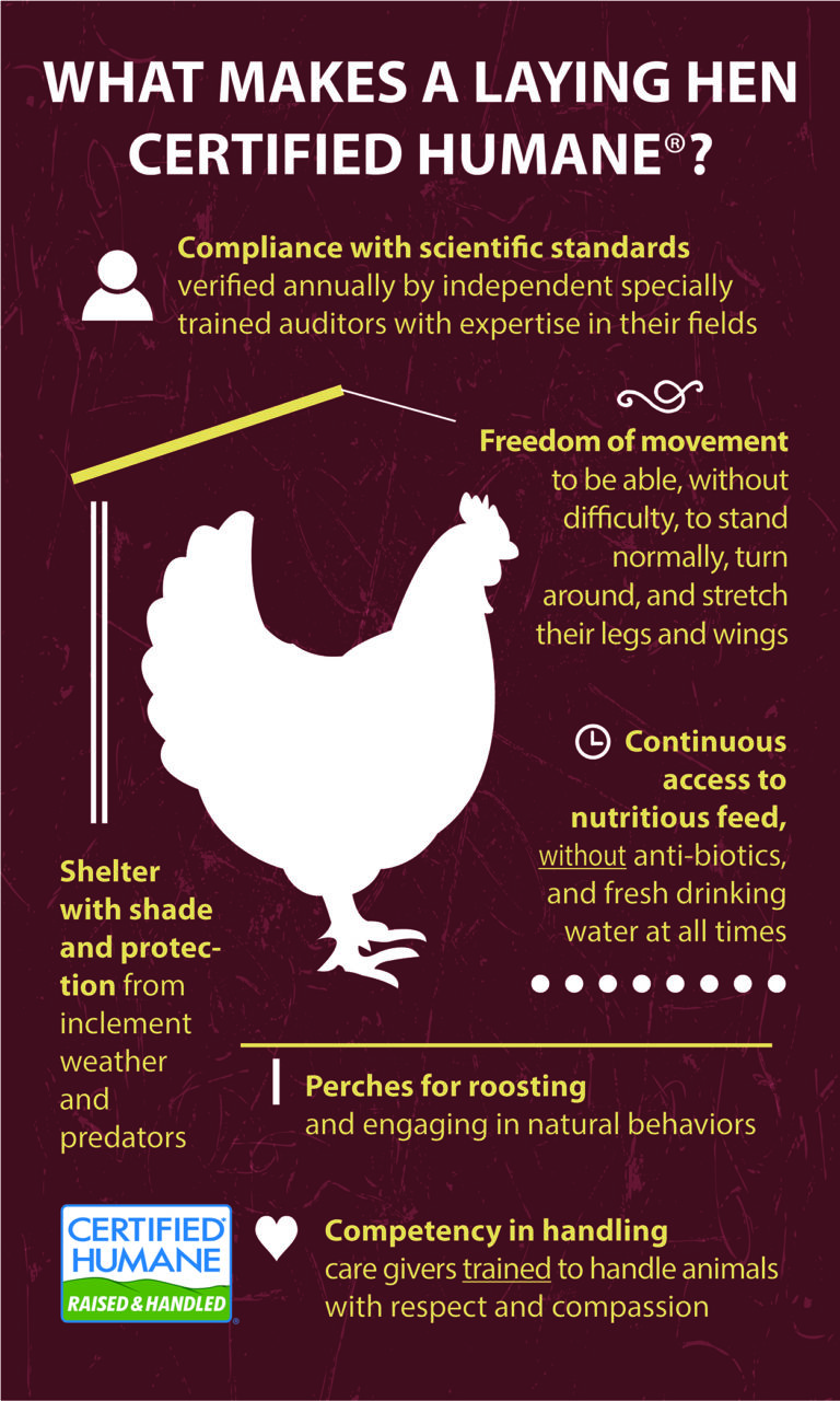 Infographics - Certified Humane