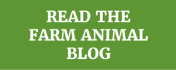 Take Action for Farm Animals - Certified Humane